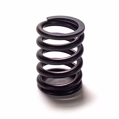 Schrick Street Valve Spring - 2002, E21 320i, E30 318i (68-84)
