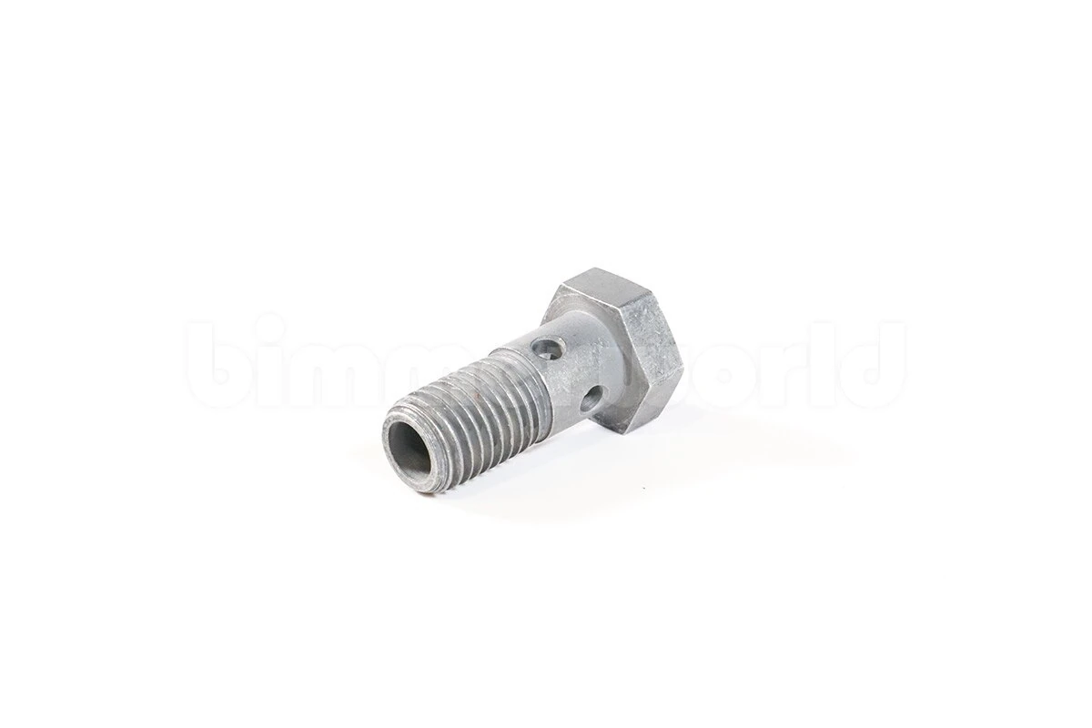 Genuine BMW Hollow Bolt - 07119905176 - S85 / E60 M5, E63 M6
