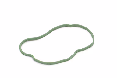 Thermostat O-Ring Gasket, BMW - F30 328d, F10 535d, and F15 X5 35d