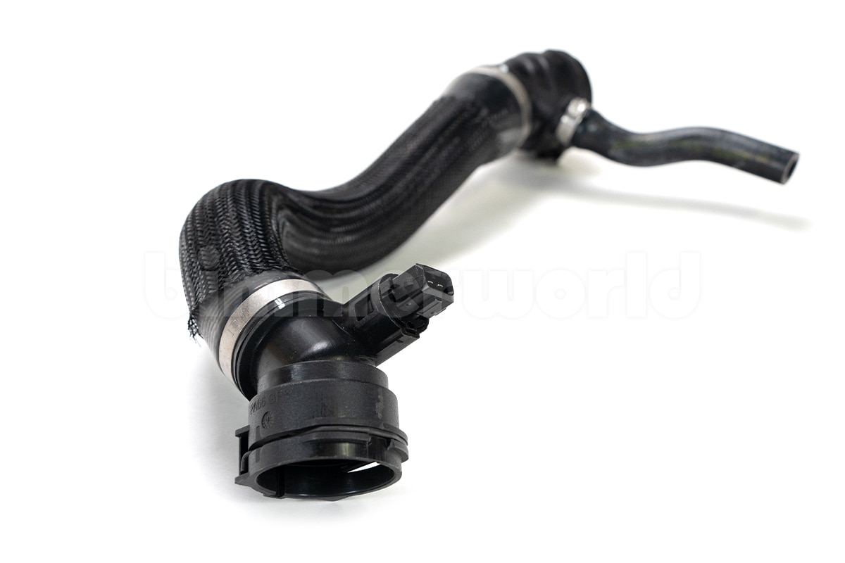 Lower Radiator/Water Pump Hose, Rein - F10 550i, F13 650i, F02 750i