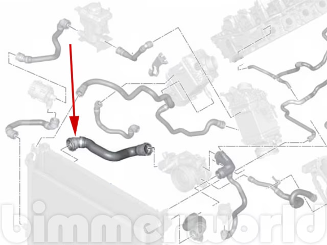 Genuine BMW Lower Radiator Hose - N63R & N63B Engine