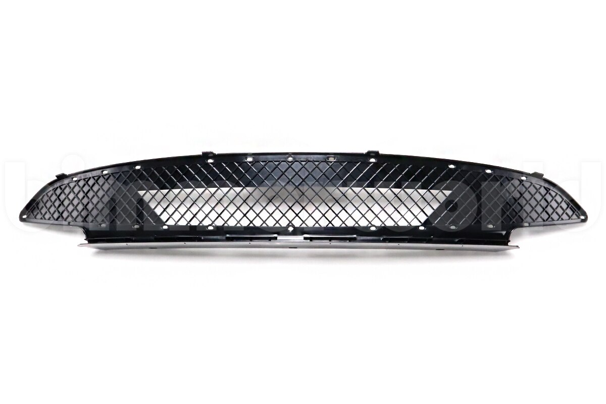 BMW Front Spoiler Mesh Grill - E85 Z4 2.5i, Z4 3.0i 51117016061