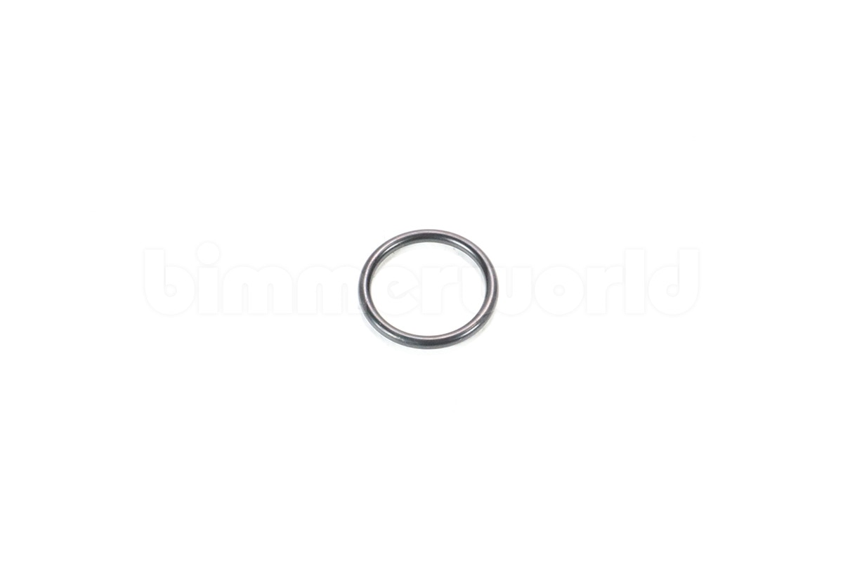 BMW O-ring 61311361249
