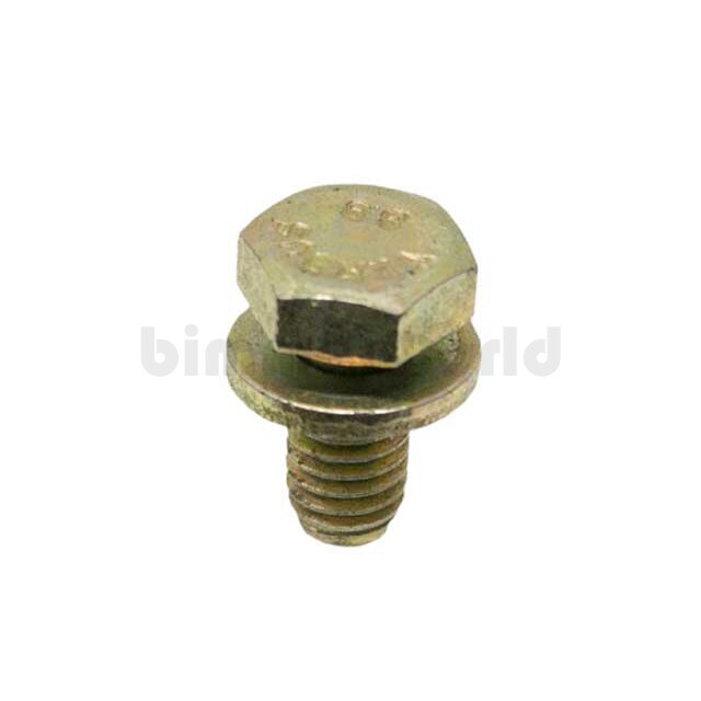 Hex Bolt with Washer, M6x25, BMW (07119905400)