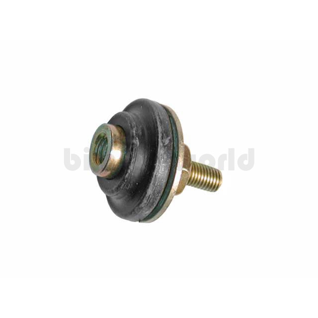 Valve Cover Cap Nut & Stud, BMW - E36, E46, E34, E39, E60, X3, X5, Z3, Z4