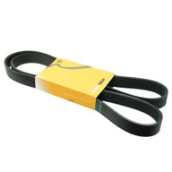 BMW Ribbed V-Belt Pk7X1580 - 11287636367 - E38