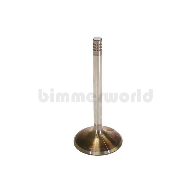 Intake Valve for BMW M30 Engines in E12 528i/530i, E28 533i/535i, E24 ...