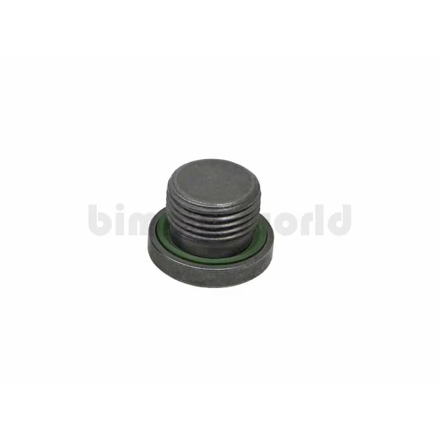 BMW Automatic Trans Screw Plug With Gasket Ring 24117552349