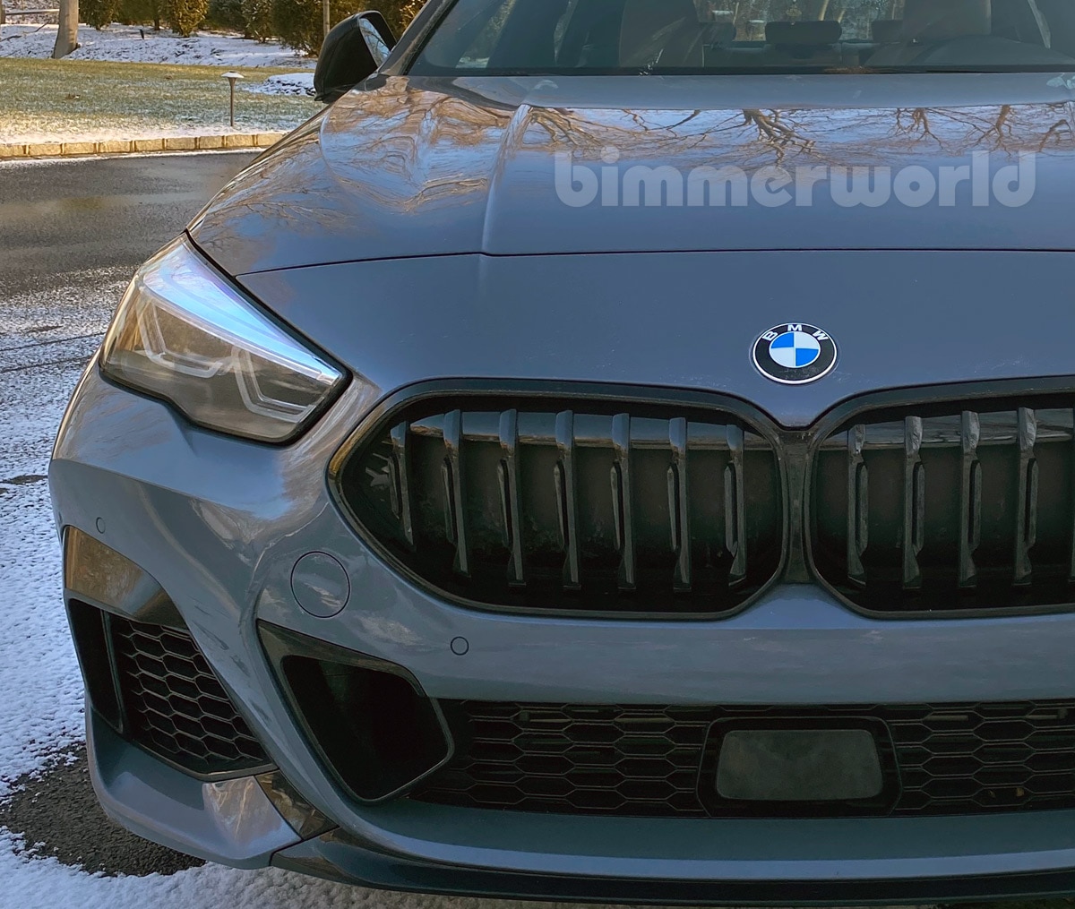 M Performance Black Front Grilles for BMW F44 228i/M235i - 51135A39376