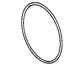 Genuine BMW O-ring - 24311219166