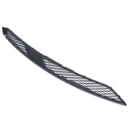 Genuine BMW Grill, Center Lower Schwarz - 51117222855