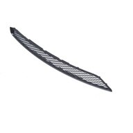 Genuine BMW Grill, Center Lower Schwarz - 51117222856