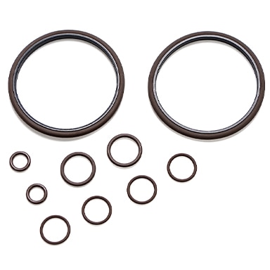 VANOS Seal Kit for BMW E39 540i, E38 740i, E53 X5 4.4i/4.6is M62TU