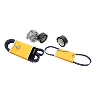 OEM Timing Chain Kit for BMW 545i/550i, 645ci/650i, 745i/750, X5 4.4I/4 ...