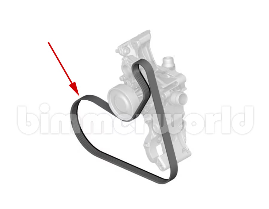 Genuine BMW Serpentine Belt 6PK1175 F44, F48 F39 U11 U10 X1, X2