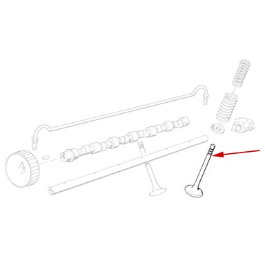 Intake Valve for M20 Engine, BMW - E30 325i, E28 528e, E34 525i