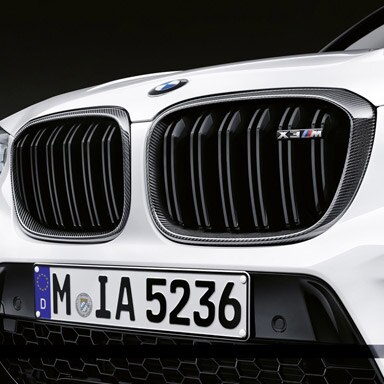 Carbon Front Grilles for BMW G01 X3