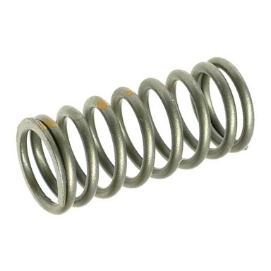 Inner Valve Spring for M20 Engine, Genuine BMW - E30 325i E34 525i