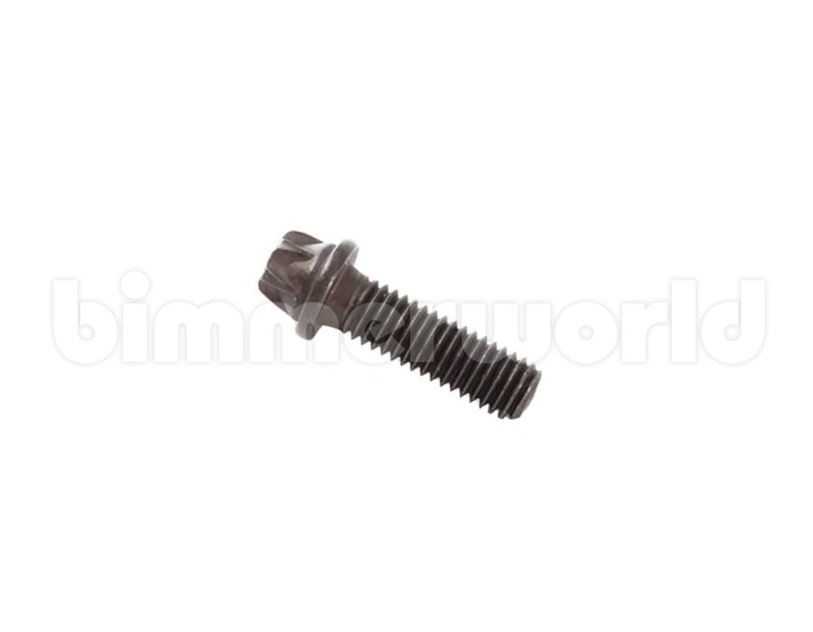 Torx Bolt - M6x20 - for BMW S14 M50 S50 M52 S52 M54 M60