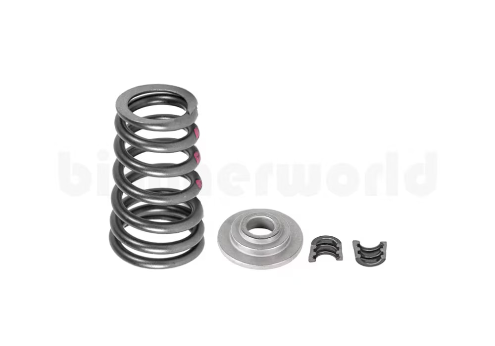 OEM Valve Spring Overhaul Kit for BMW E36, E46, M52, M54