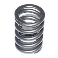 Schrick Valve Spring - E30 318i, E36 318i (M42)
