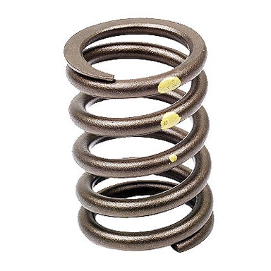 Valve Spring for BMW 2002, E21, E30, E12, E28, E24, E9, Bavaria, E23 ...
