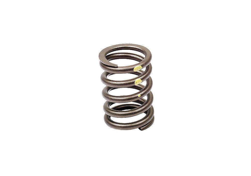 Valve Spring for BMW 2002, E21, E30, E12, E28, E24, E9, Bavaria, E23 ...